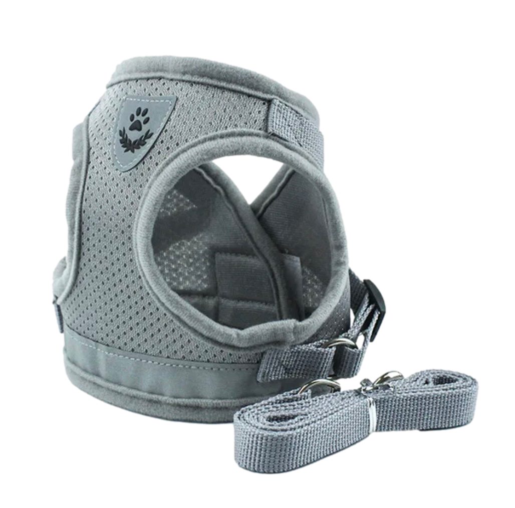 Houdini Weenie No-Escape Harness – WeenieWarmers