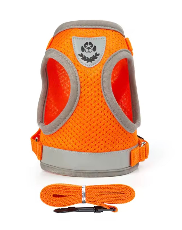 Houdini Weenie No-Escape Harness – WeenieWarmers